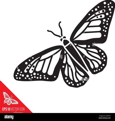 Monarch Wings Stock Vector Images Alamy