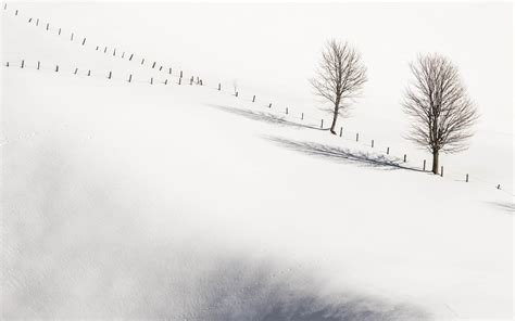 Wandern In Spinges Südtirol Keine Karte Notwendig