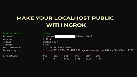 how to use ngrok to make your localhost public