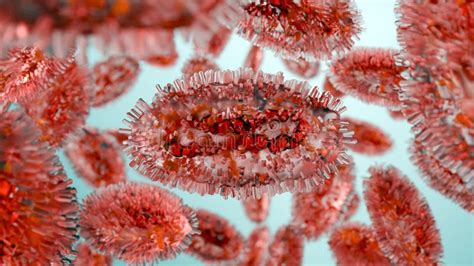 Monkeypox Infection Pandemic Monkeypox Cell Symptoms Or Precautions