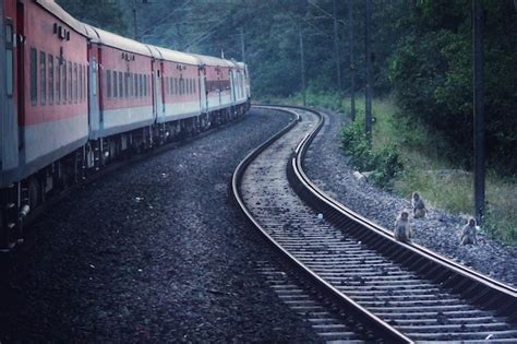Premium Photo Curved Way Train On The Track Through The Forest