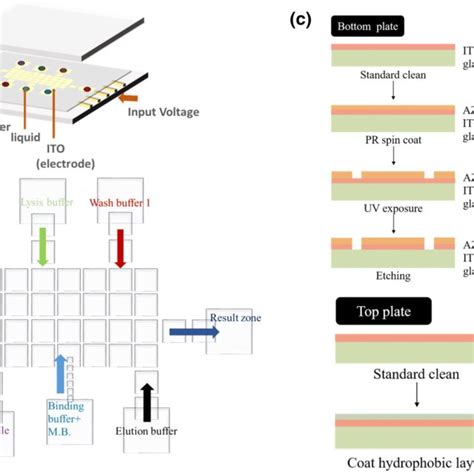 Dna Extraction Protocol In An Eppendorf Tube 1 Cell Lysis 2 Magnet