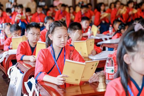 乐以忘忧台湾学者薛仁明的论语随喜 孔子 孔门 大陆