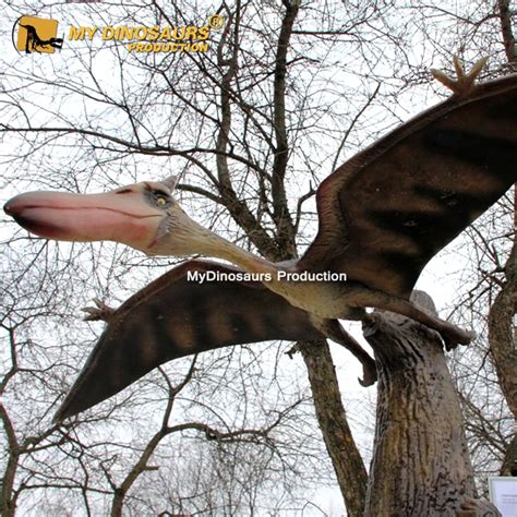 Real Pterodactyl Dinosaur