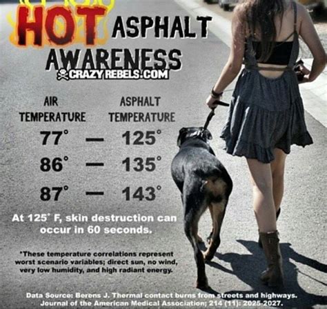 Kings Canyon Veterinary Foundation Summer Heat And Protecting Dogs Paws