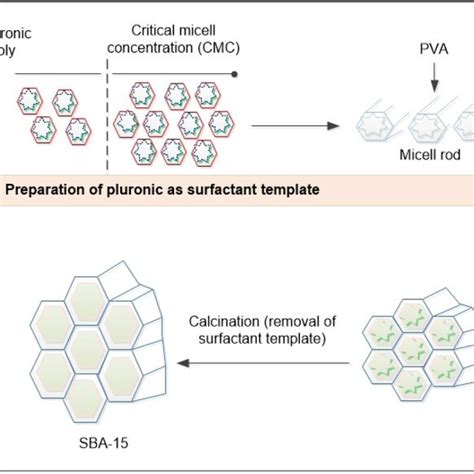 Sem Image Of The Sba 15 Samples A Sba 3 And B Sba 5 Download Scientific Diagram