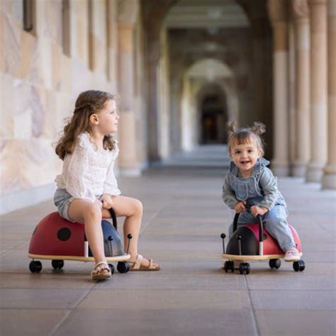 Ladybug Wheely Bug Small Large Best Seller Bulky Item Stylish