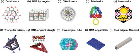 Dna Nanostructures In Biomedical Applications A Dna Dendrimer As An Download Scientific