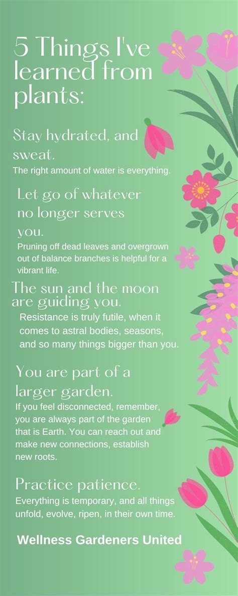 5 things i ve learned from plants by ~zgala medium