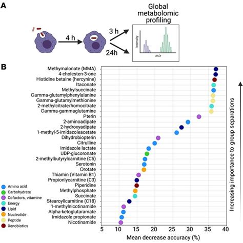 Global Metabolomic Profiling Identifies Metabolites That Discriminate