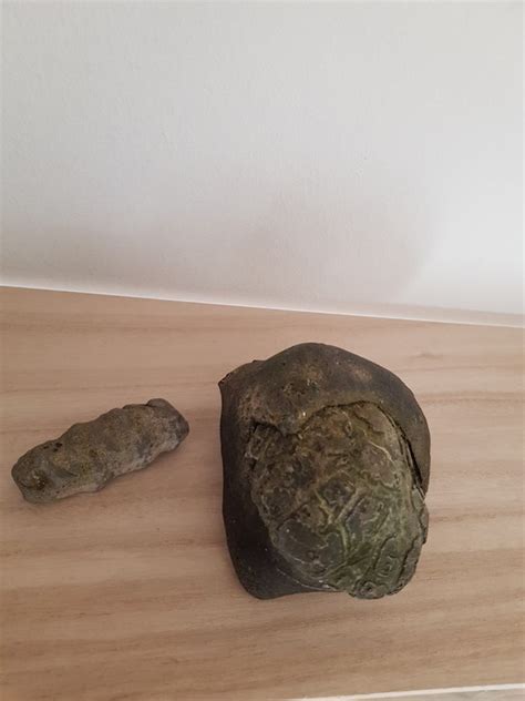 Rengøring af forsil Naturbasen