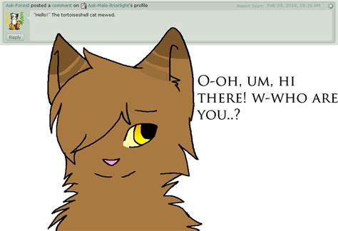 Q10 By Ask Male Briarlight On Deviantart
