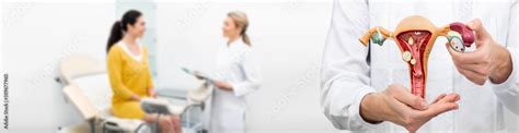 Concept Diagnostic And Medical Care Of Gynecological Disease