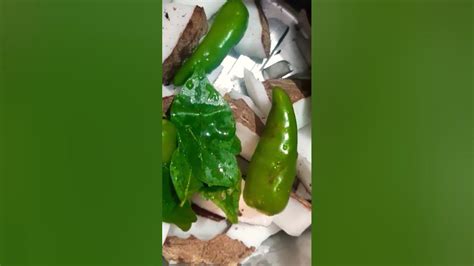 Achinga Payar Koval Thoran Trending Food Viral Youtube