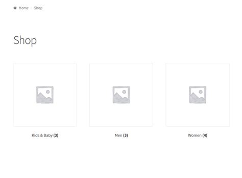How To Hide WooCommerce Categories From Being Displayed On Shop