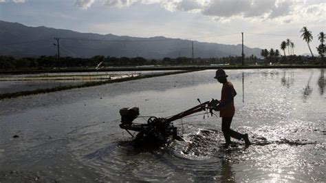 Experts Concerned Over Eu Due Diligence Laws Impact On Global South Michael Ogunbiyi Cmc Cclp