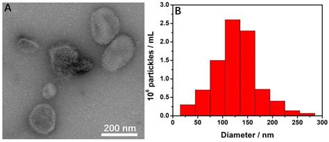 chemosensors free full text electrochemical detection of tumor cell