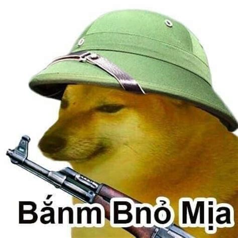 Hình Ảnh Meme Cheems Tấu Hề Cực Mạnh Cười Sái Quai Hàm