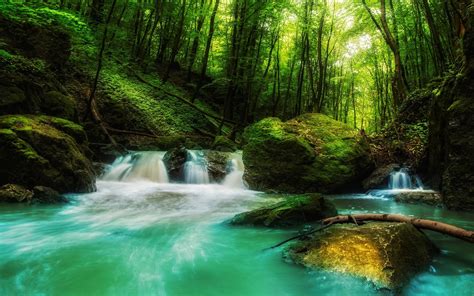 Bộ ảnh Nature green background hd Đẹp mắt tải miễn phí