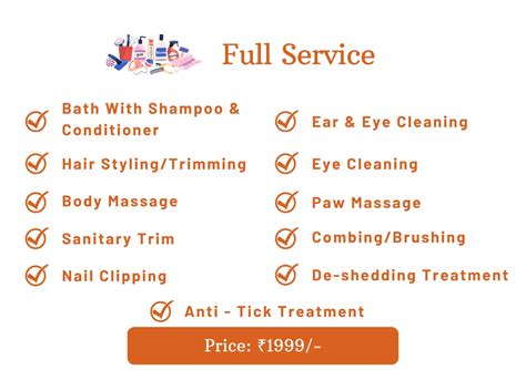 Best Pet Grooming At Home Hyderabad Services Snouters