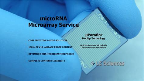 Microrna Microarray Service Youtube