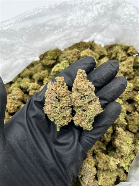 Super Mac Strain Gemz Officials