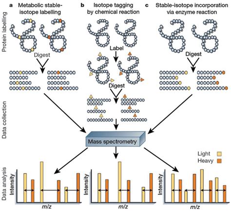 Figure 11 From Computational Analysis Of High Replicate Rna Seq Data In Saccharomyces