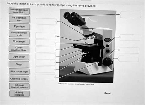 Label The Image Of A Compound Light Microscope Using The Terms Provided