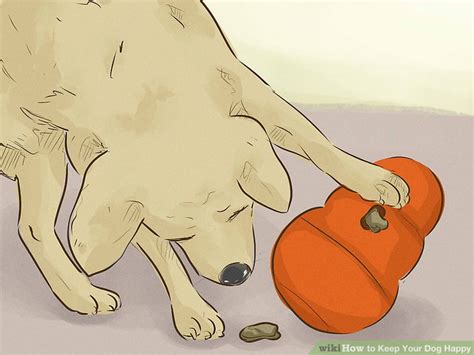 How To Keep Your Dog Happy 15 Steps With Pictures Wikihow