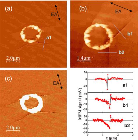 Figure 1 From Closure Magnetization Configuration Around A Single Hole