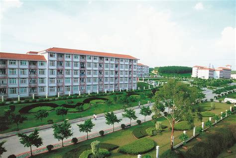 2019广东财经大学mpacc会计硕士录取情况分析 院校解读 Mpacc 会计专硕 Mpacc网 中国会计硕士网