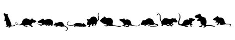 Naughty Mouse Font Decorative Display Whimsical What Font Is