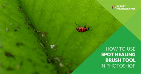 How To Use Spot Healing Brush Tool In Photoshop