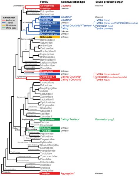 Evolution Of Acoustic Communication In Moths Features Of Intraspecific Download Scientific