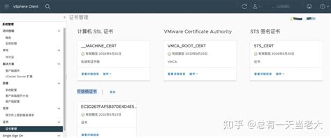 Vsphere Client