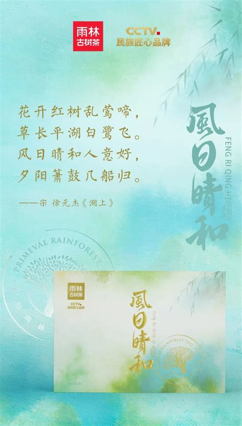 风日晴和 雨林古树茶官网古树茶 喝雨林雨林古树茶 CCTV民族匠心品牌 雨林古树茶