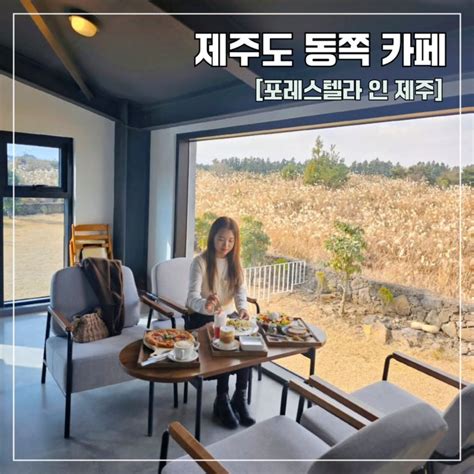 제주도 동쪽 카페 송당리 감성 가득 브런치 카페 오픈 포레스텔라 인 제주 네이버 블로그
