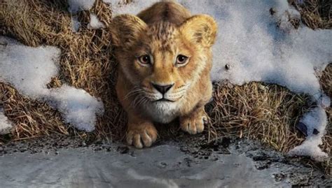 Mufasa El Rey León tráiler y más detalles de tan esperada película