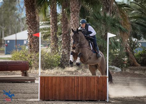 Through The Lens The 2025 Usea Ecp Symposium At Galway Downs
