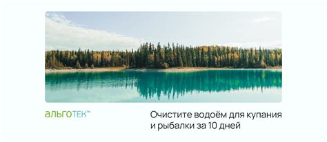 Хлорелла для водоёмов «Альготек» с доставкой по РФ