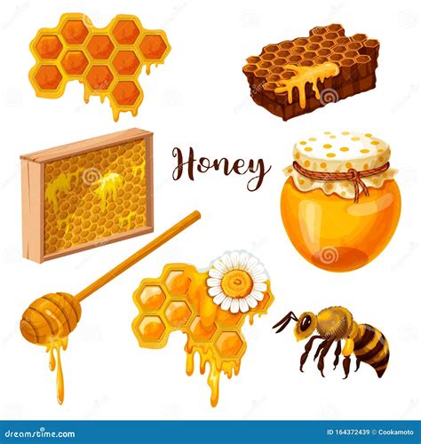 Honey Drops And Flow Honeycomb Bee And Spoon Stock Vector