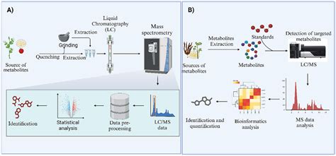 Lc Ms Metabolomics Service Mtoz Biolabs