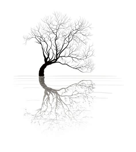 Premium Vector Inclination Tree Reflecting In Water