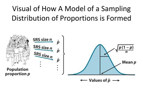 Ppt Chapter 18 Sampling Distribution Models Powerpoint Presentation