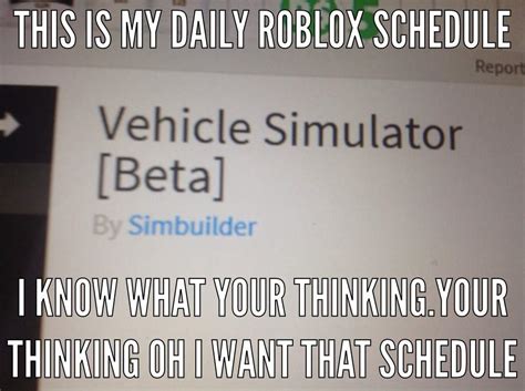 My Daily Roblox Schedule Roblox Amino