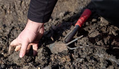Sensationsfund Auf Sportplatz Jahrtausende Alte Knochen Entdeckt Mopo