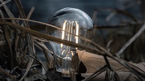 A Simple Switch Signify Company Website