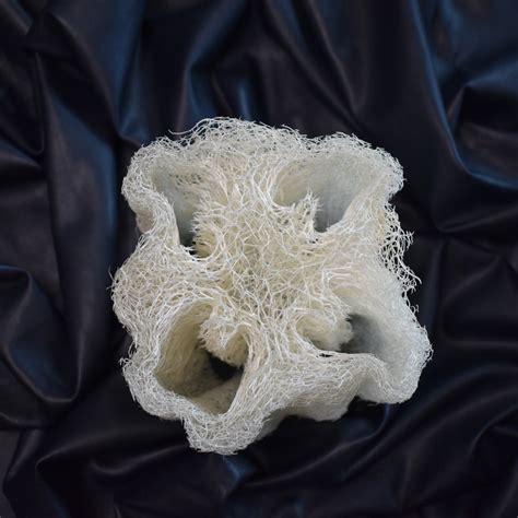 Natural Loofah Sponge Egyptian The Loofah Patch