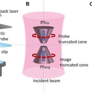 Schematic Illustration Of Photoinduced Magnetic Force Detection A