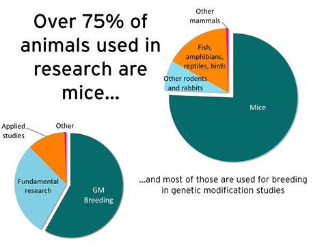 Animal Testing Statistics